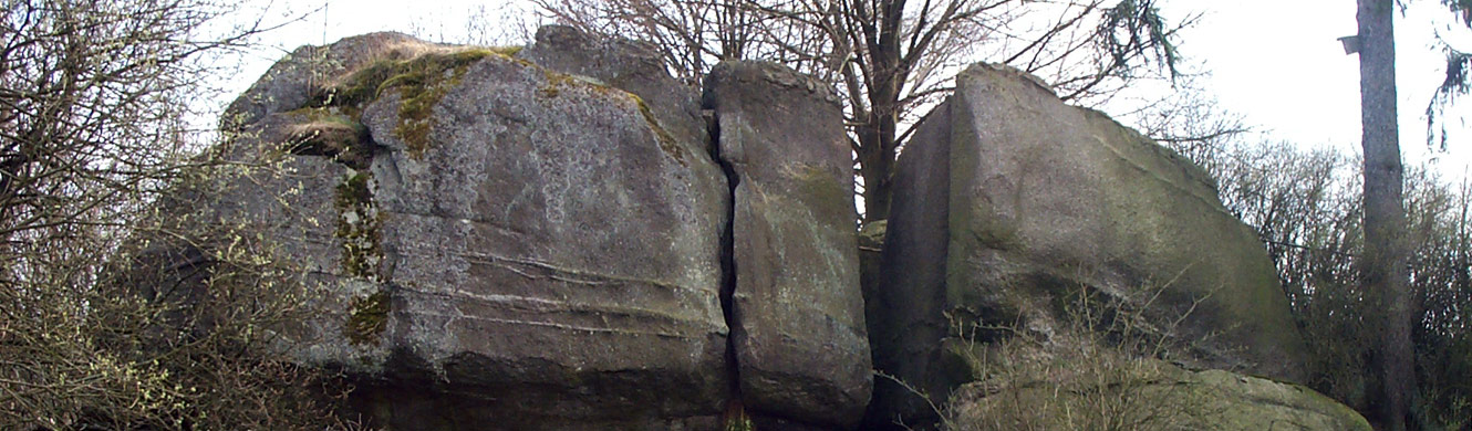 Schloßberg Störnstein - Naturpark NOW