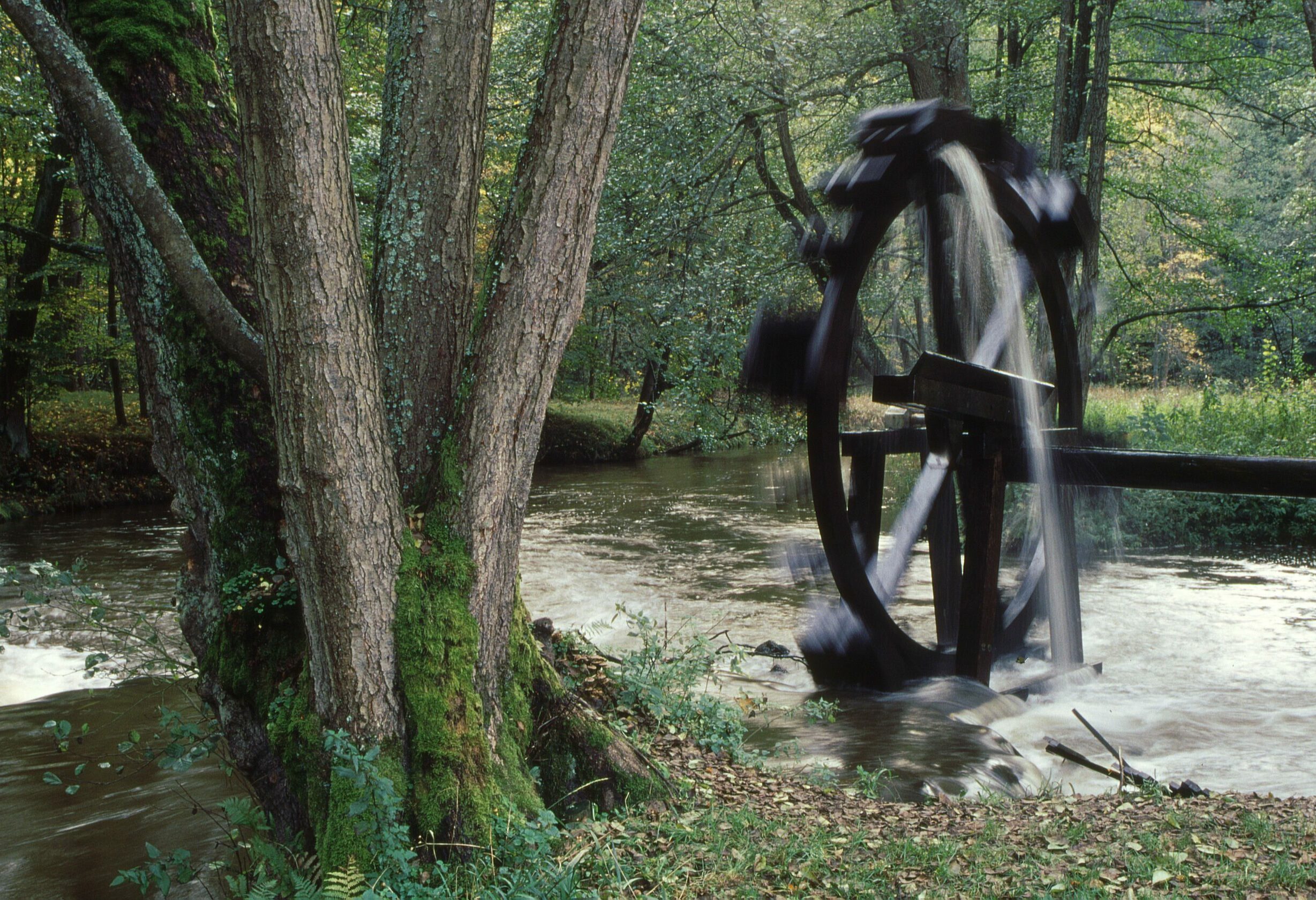 Infostelle in Windischeschenbach: Wald & Wasser - Naturpark NOW